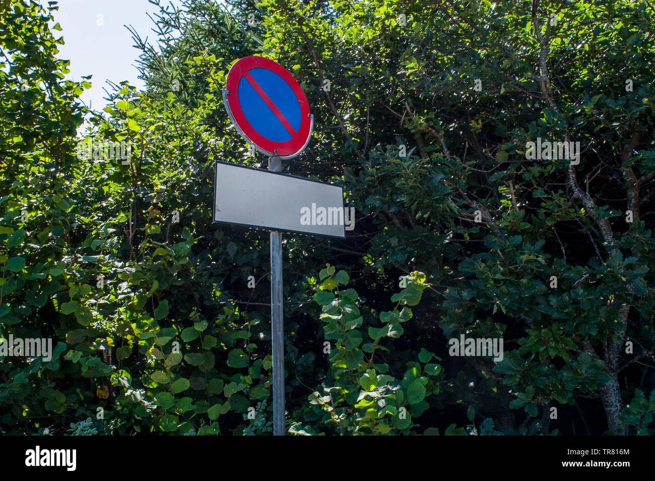 No parking sign with empty, white text area underneath Stock Photo - Alamy