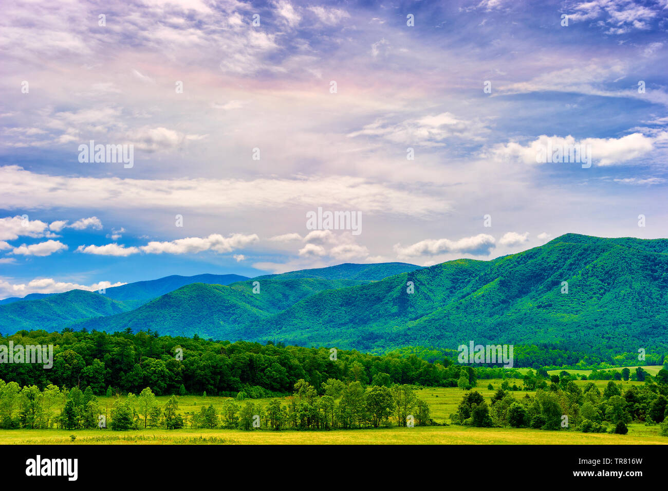 Scenic view of open medow with distant mountains under cloudy skies in ...