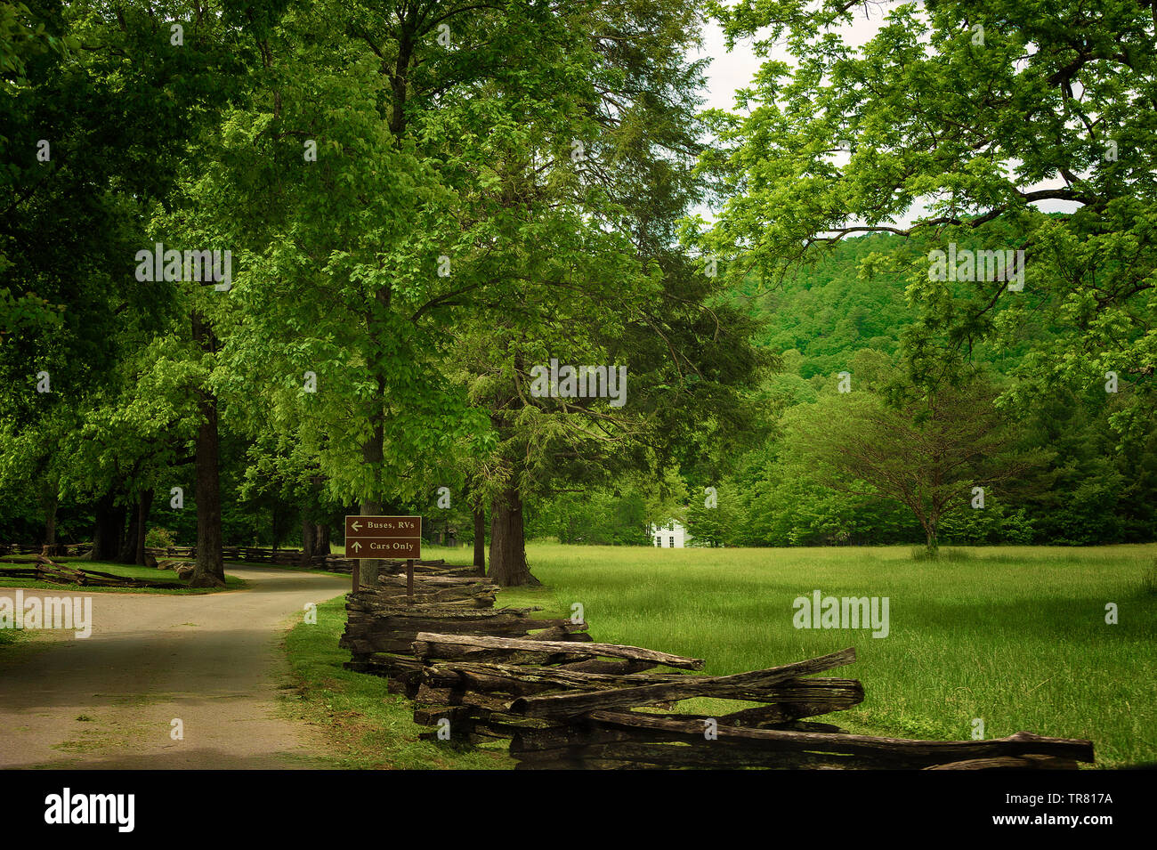 split rail fence, fence, road,tree,grass,house,no people,outdoors ...
