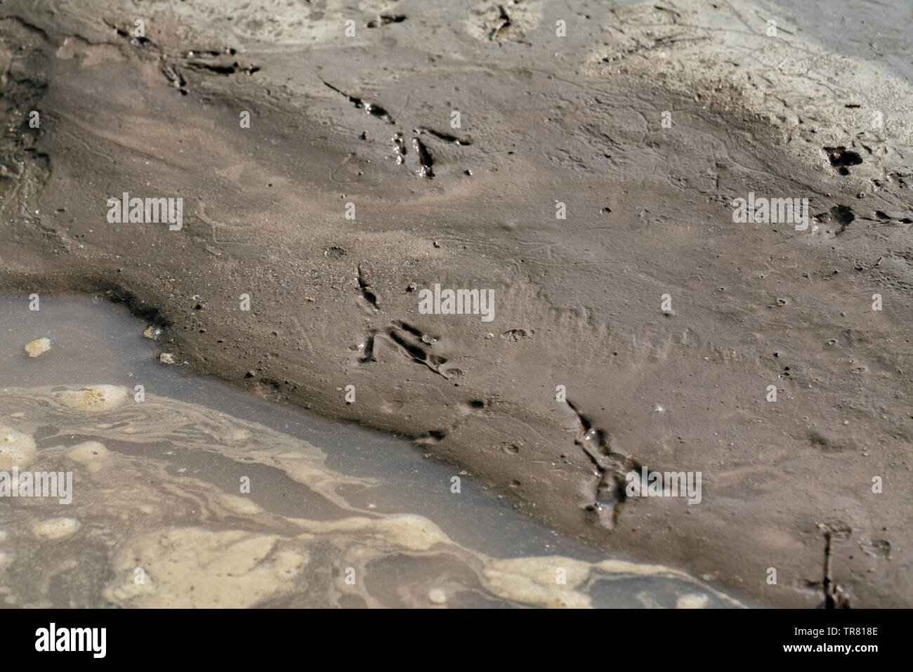 Mud puddle texture hi-res stock photography and images - Alamy