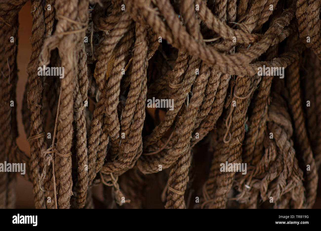 Fishing boat used catch hi-res stock photography and images - Alamy