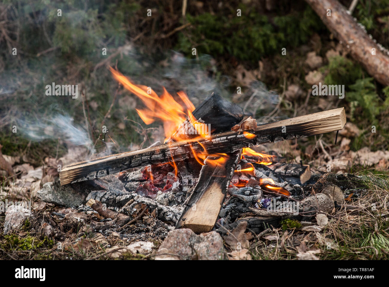 Small campfire burning eagerly waiting for the coffee pot Stock Photo ...