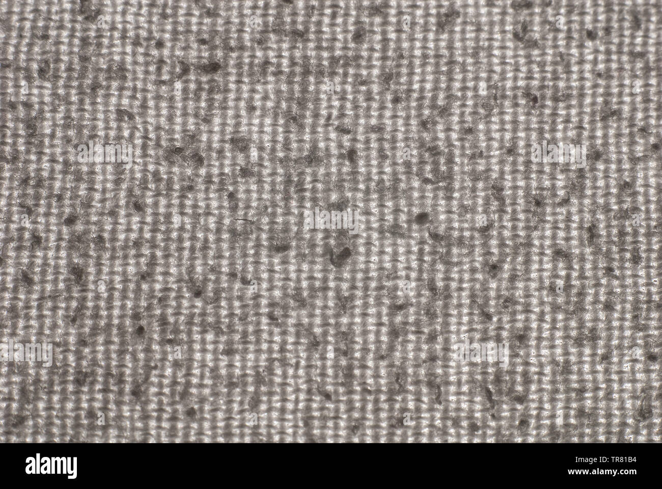 Backlit macro hi-res stock photography and images - Alamy