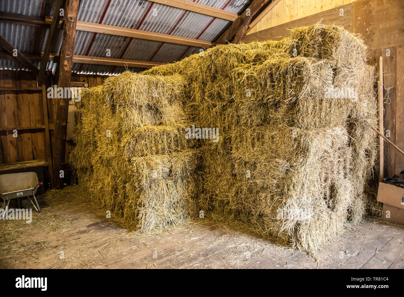 Stacks of dry hay in a barn Stock Photo - Alamy