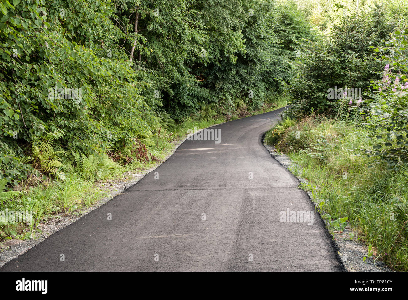 Small road with freshly laid asphalt Stock Photo - Alamy