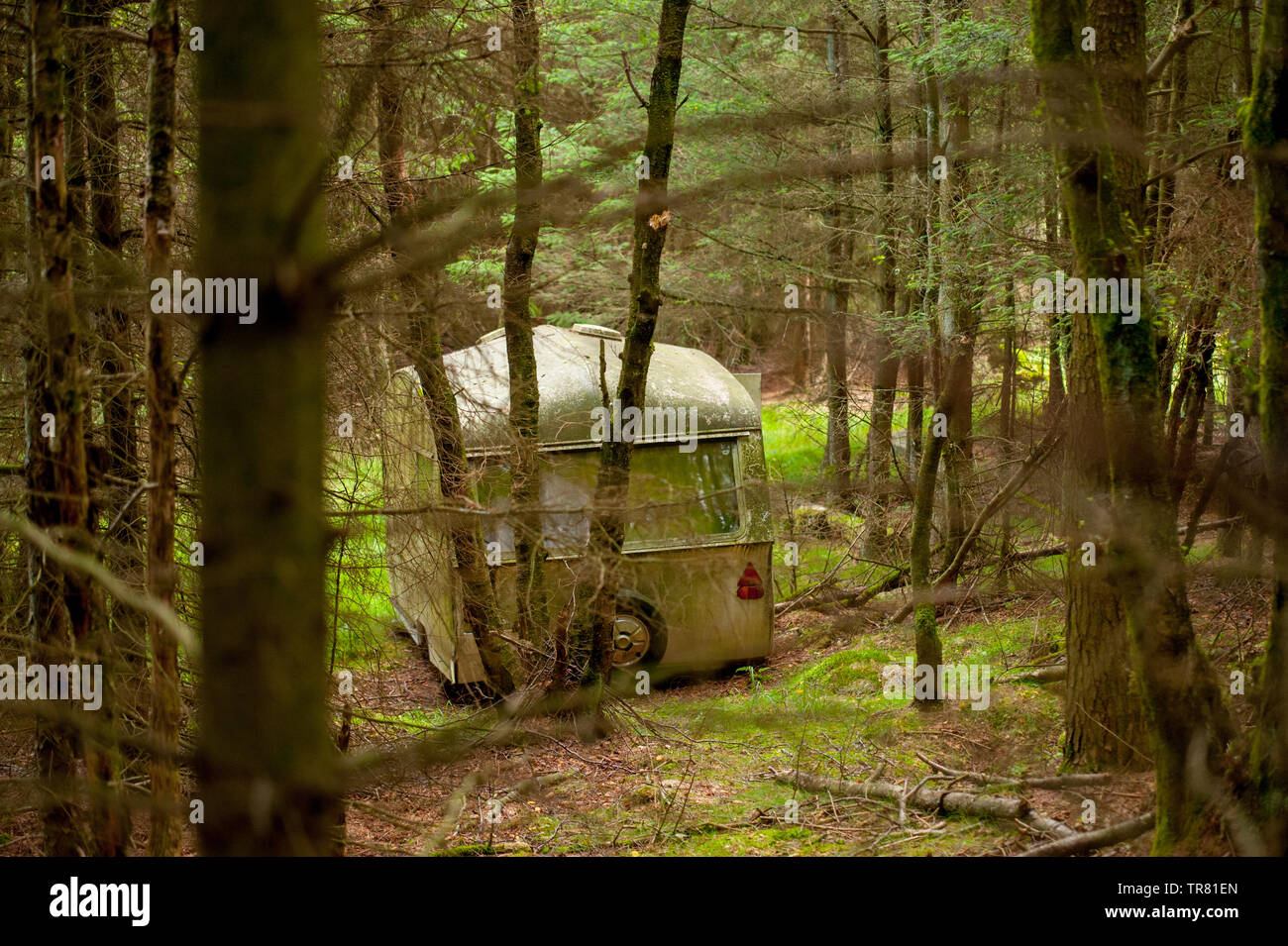 An abandoned caravan in the middle of the woods Stock Photo - Alamy