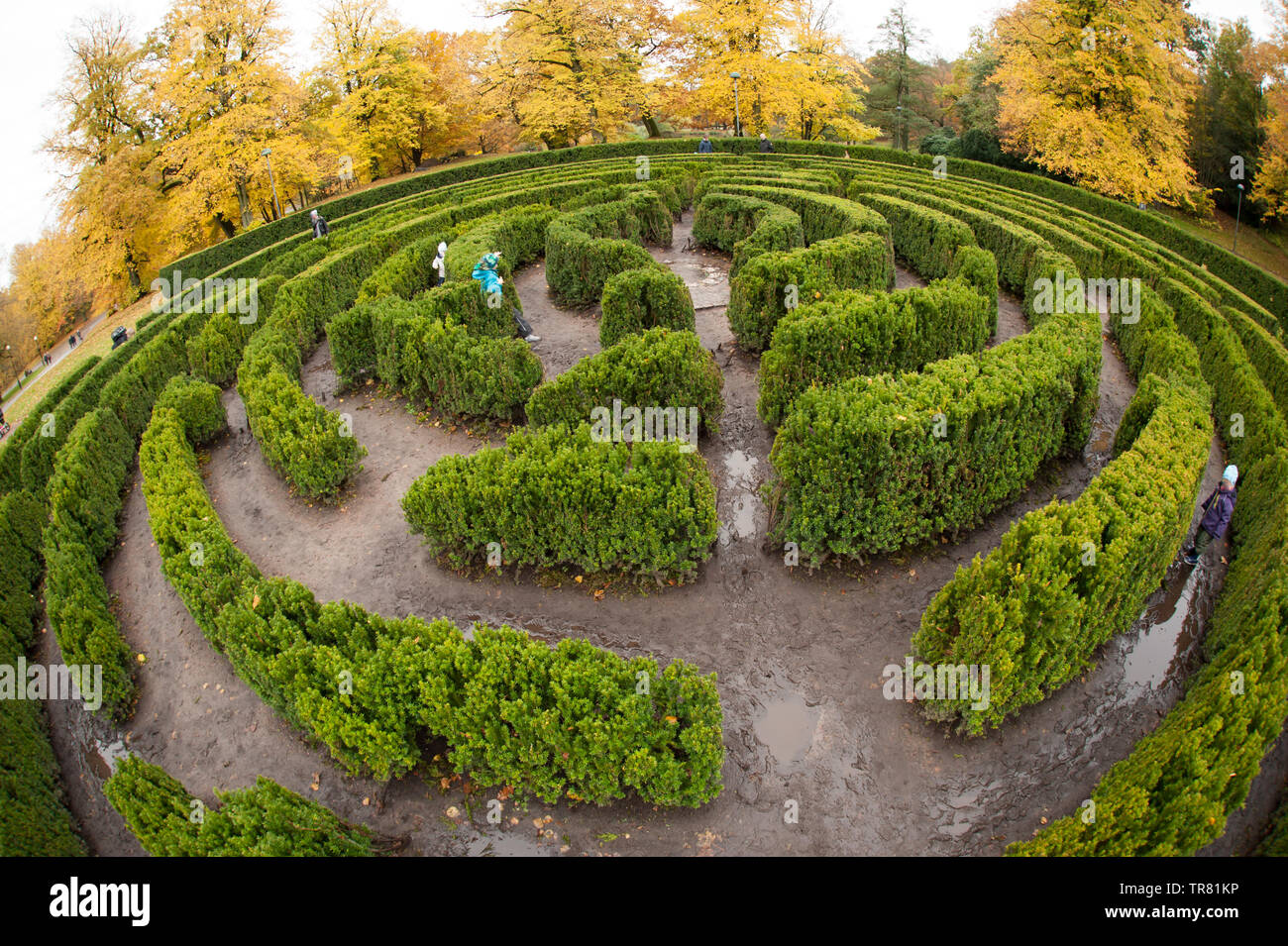 Hedge maze topiary hi-res stock photography and images - Alamy