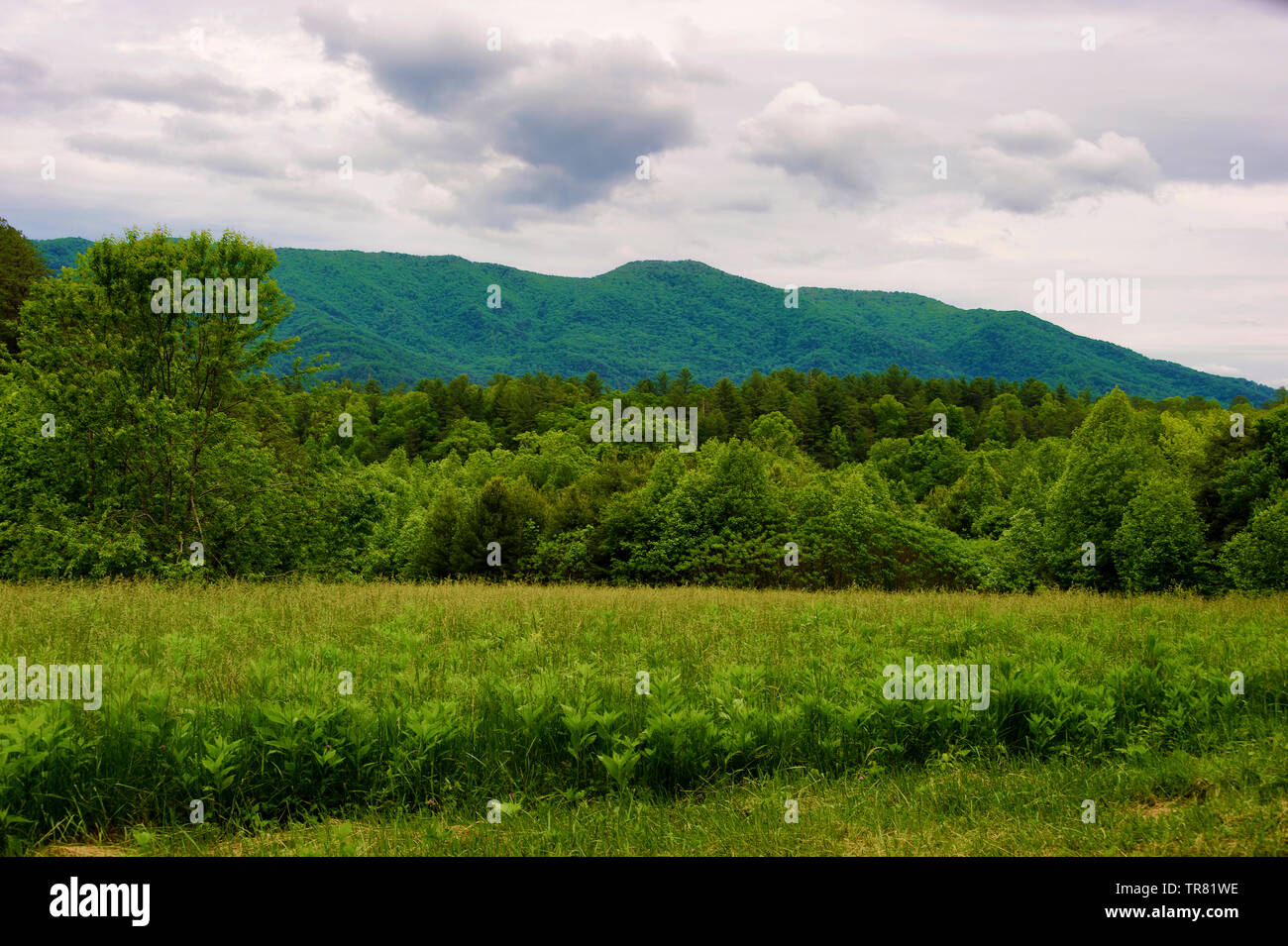 Landscape scenic nature view of Cades Cove Valley in Tennessee Stock ...