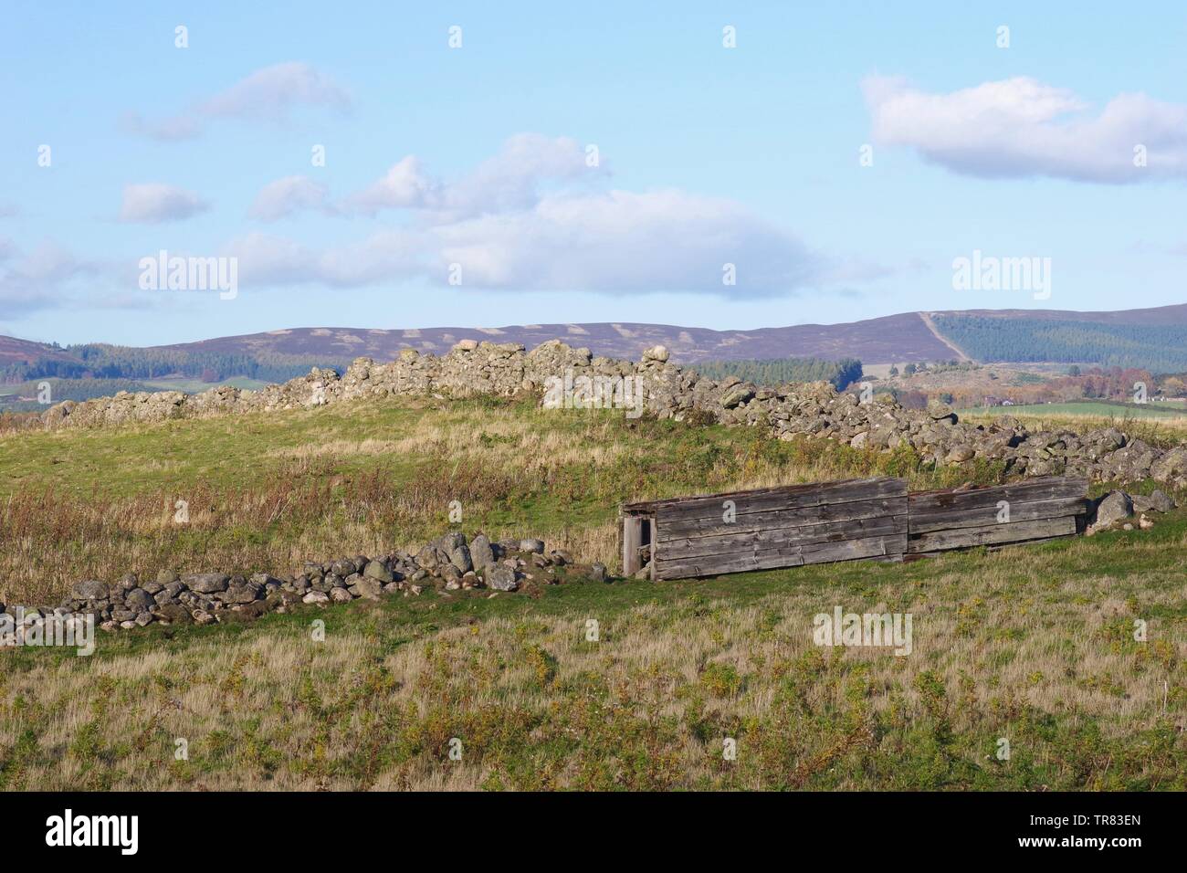 Scottish Landscape, Drystone Wall Field Boundary and Moorland Hills ...