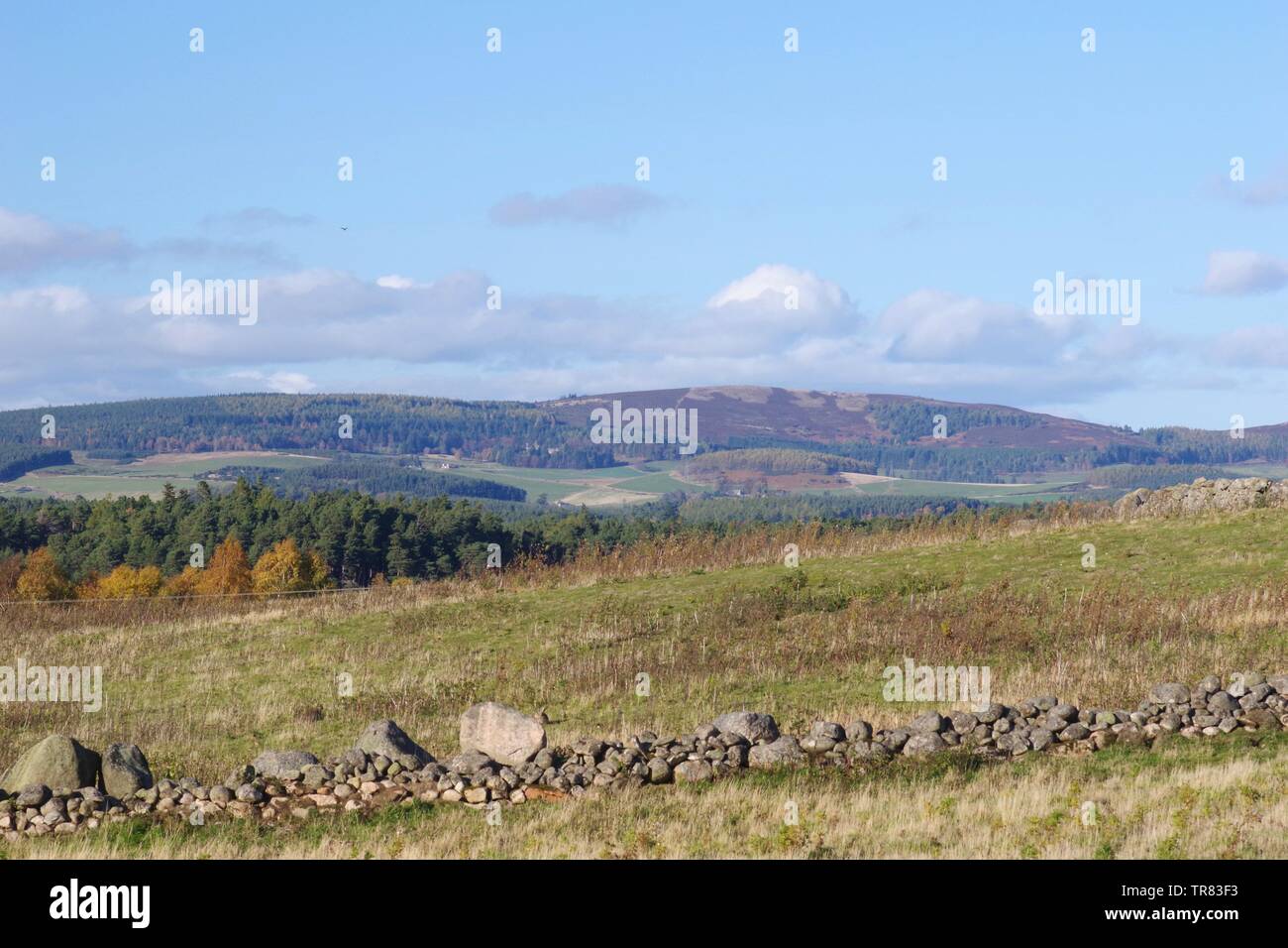 Scottish Landscape, Drystone Wall Field Boundary and Moorland Hills ...