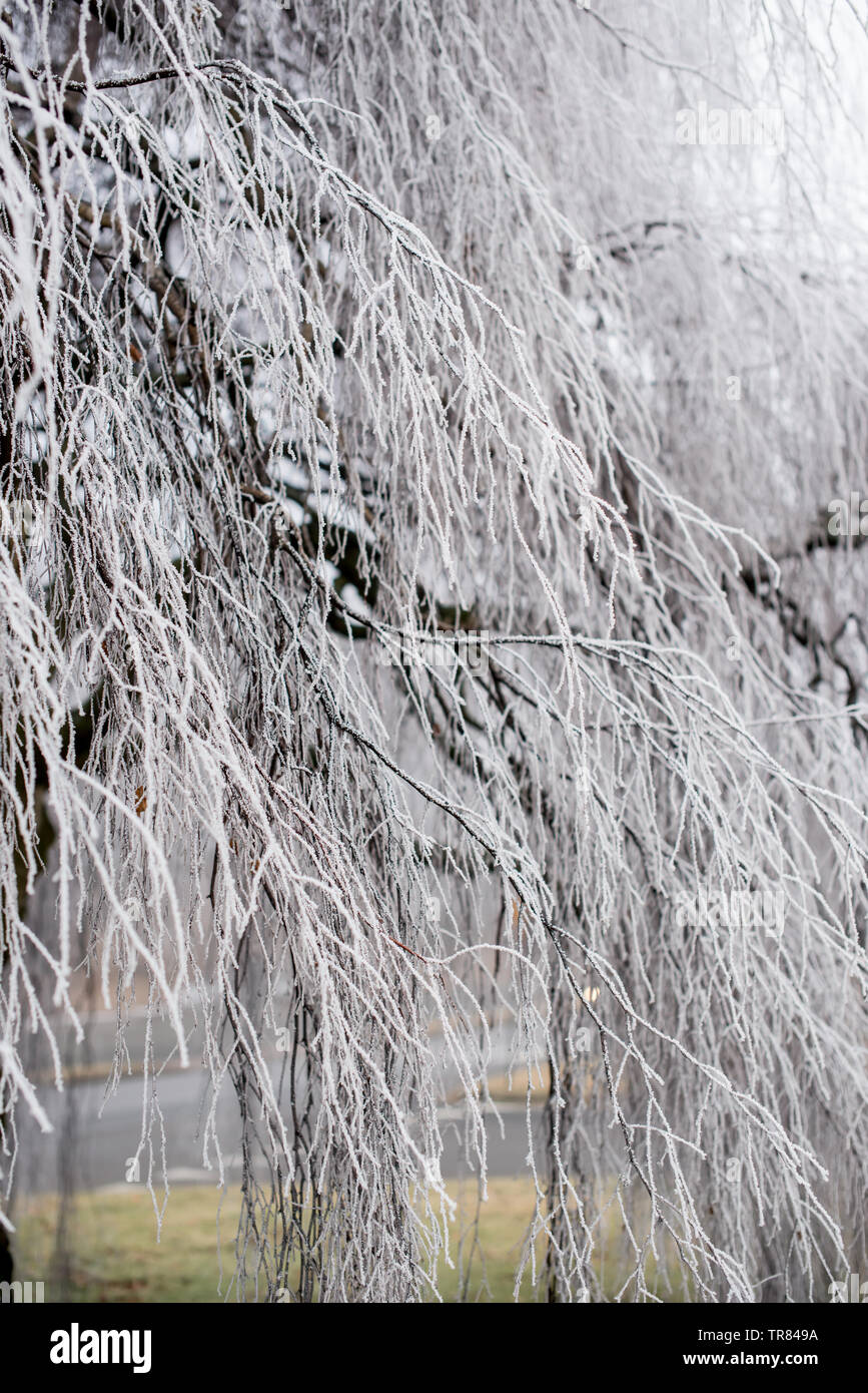 Chilling details hi-res stock photography and images - Alamy