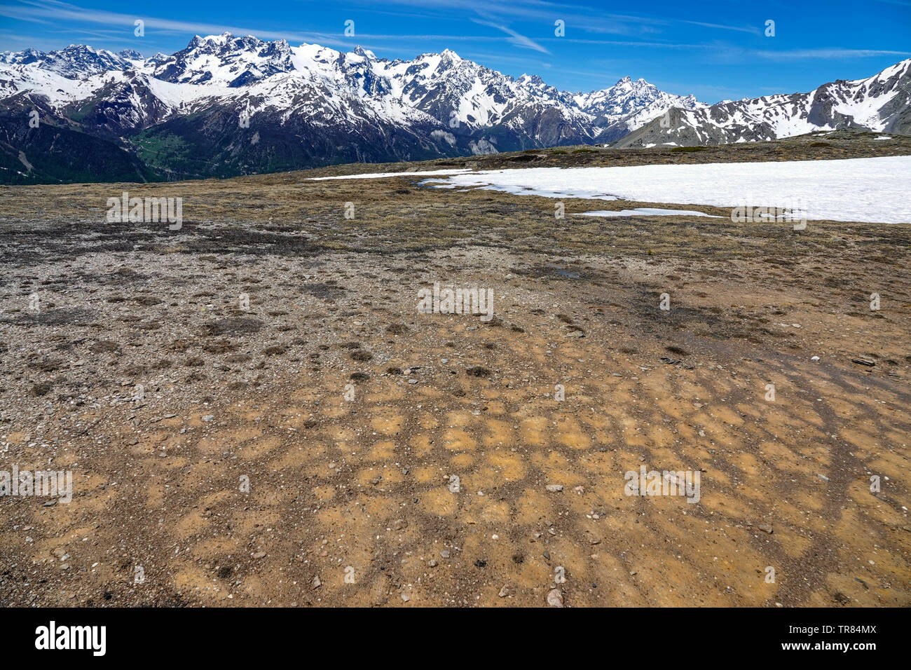 Frost polygons on flat gravel area, Col du Granon, Briancon, Ecrins ...