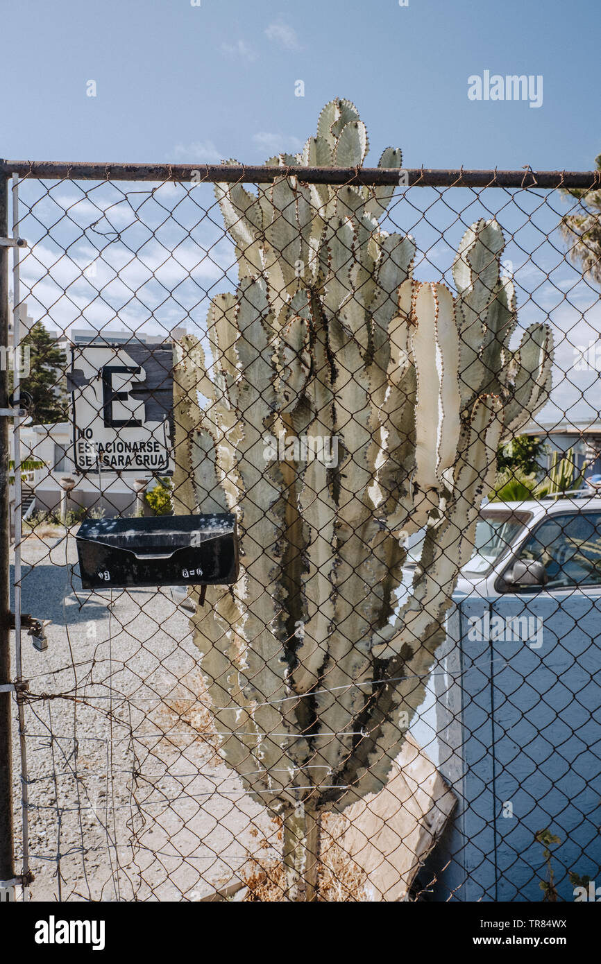 Border wall at Tijuanaa Stock Photo - Alamy
