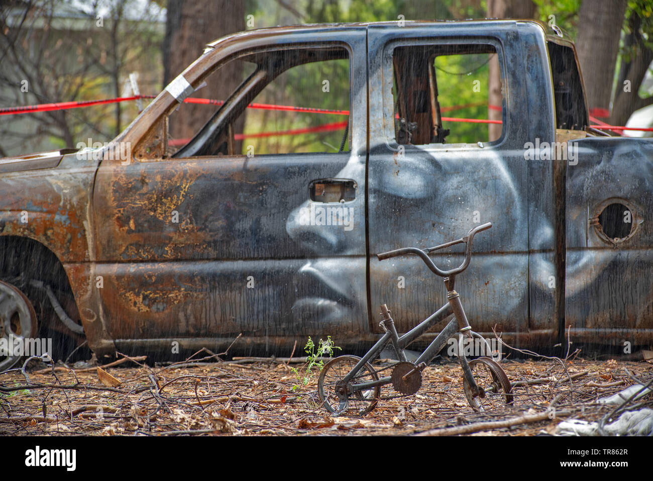 Graffiti artist Shane Grammer paints portraits among the ashes from ...