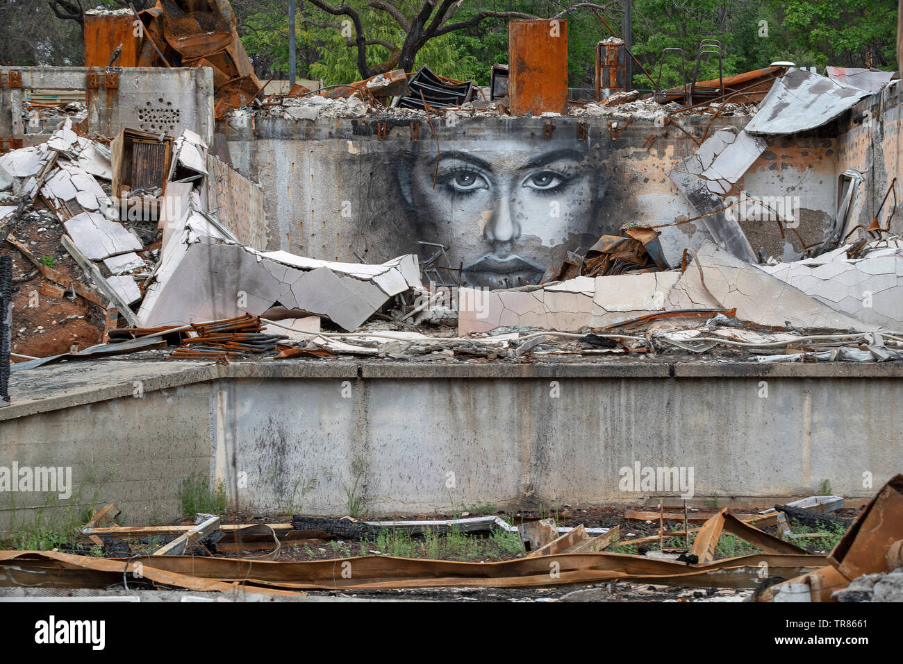 Graffiti artist Shane Grammer paints portraits among the ashes from ...