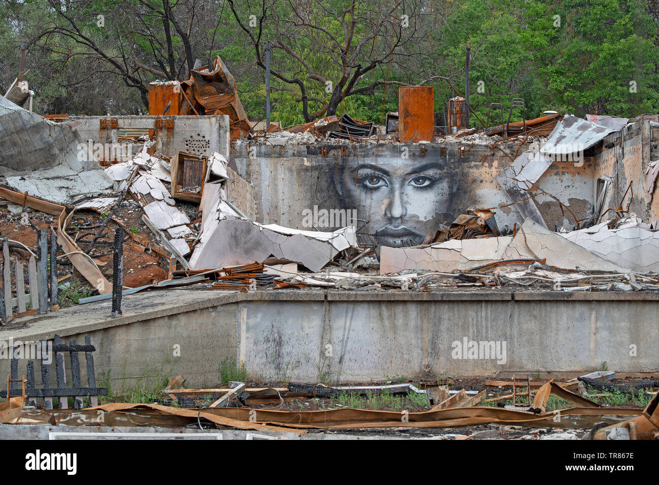Graffiti artist Shane Grammer paints portraits among the ashes from ...