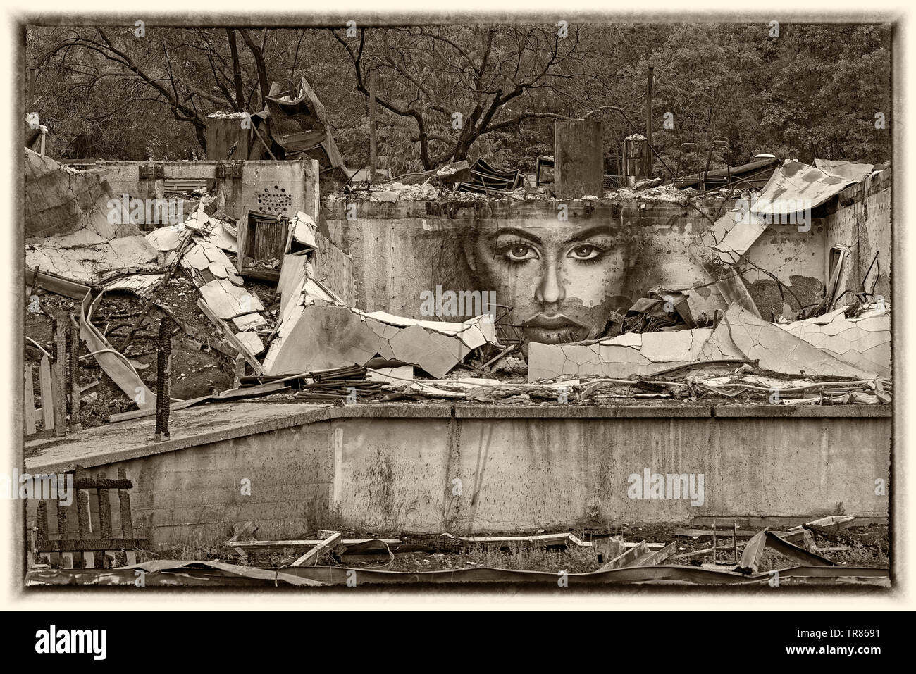 Graffiti artist Shane Grammer paints portraits among the ashes from ...