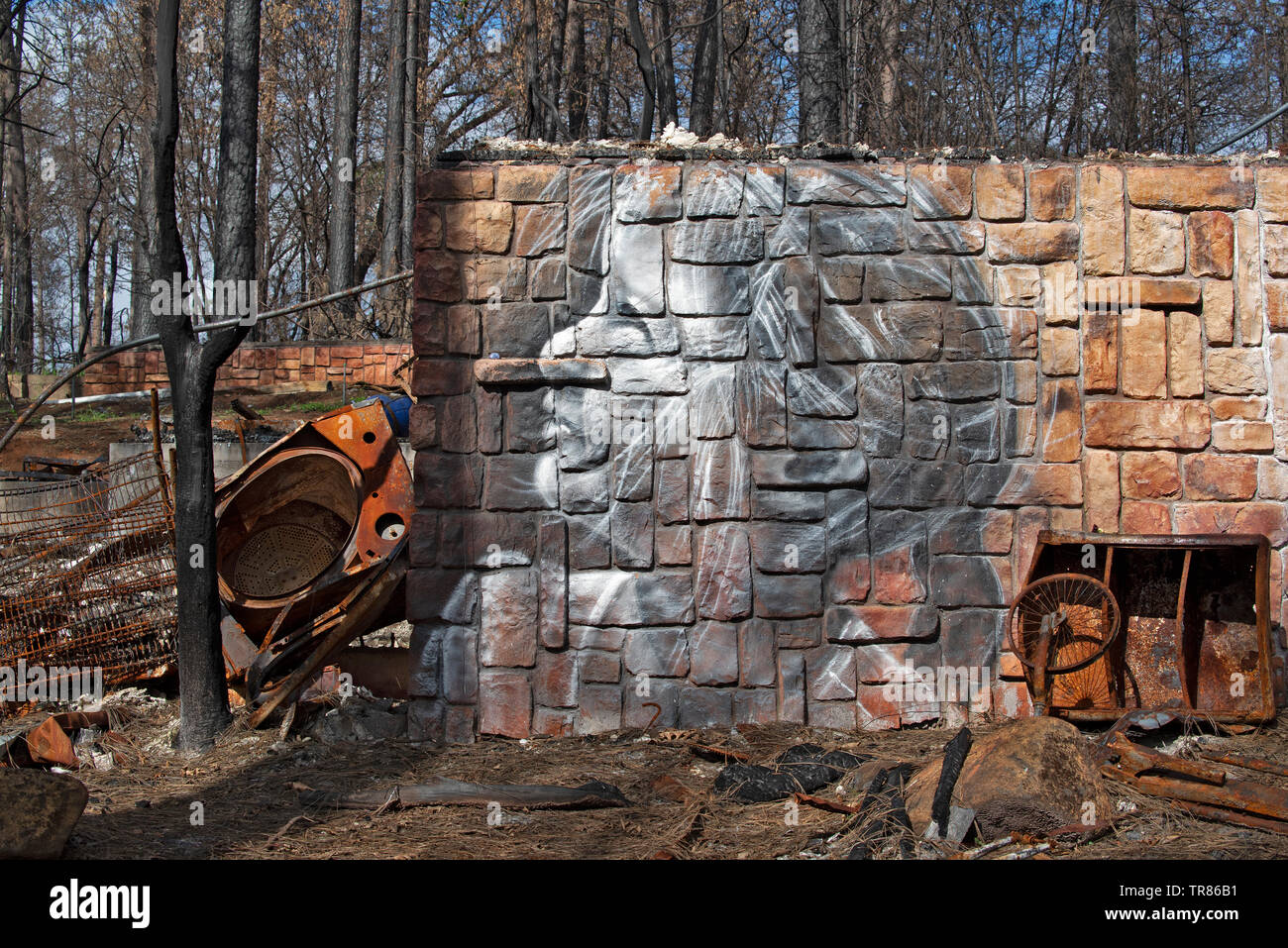Graffiti artist Shane Grammer paints portraits among the ashes from ...