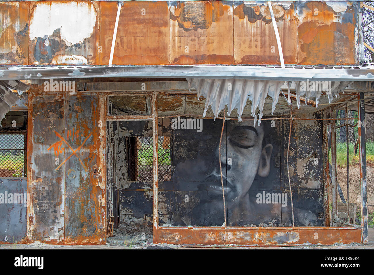 Graffiti artist Shane Grammer paints portraits among the ashes from ...