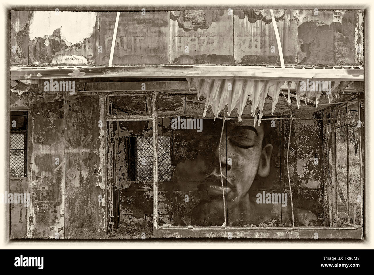 Graffiti artist Shane Grammer paints portraits among the ashes from ...