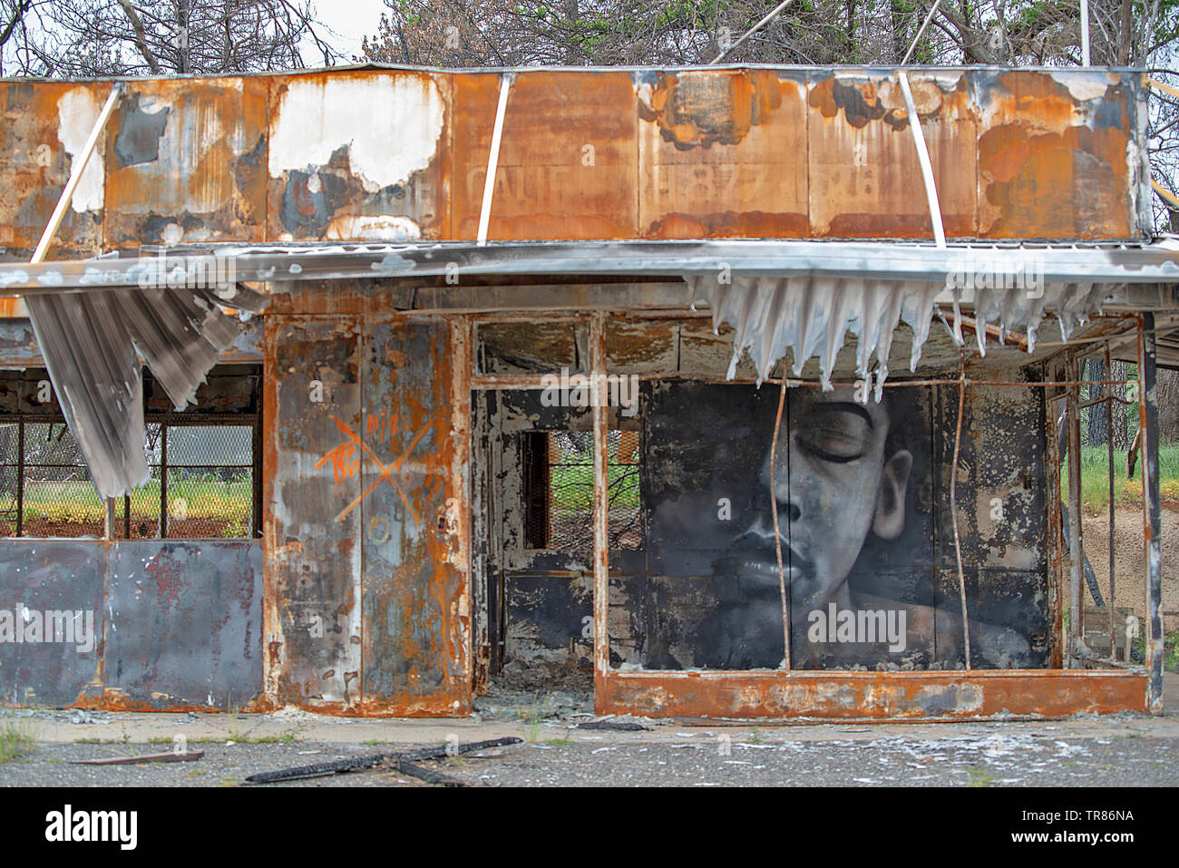 Graffiti artist Shane Grammer paints portraits among the ashes from ...