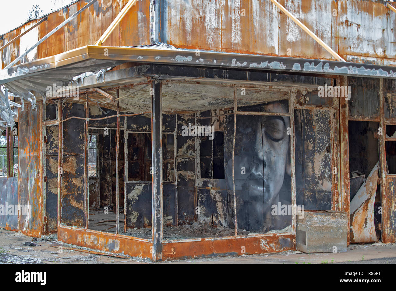 Graffiti artist Shane Grammer paints portraits among the ashes from ...