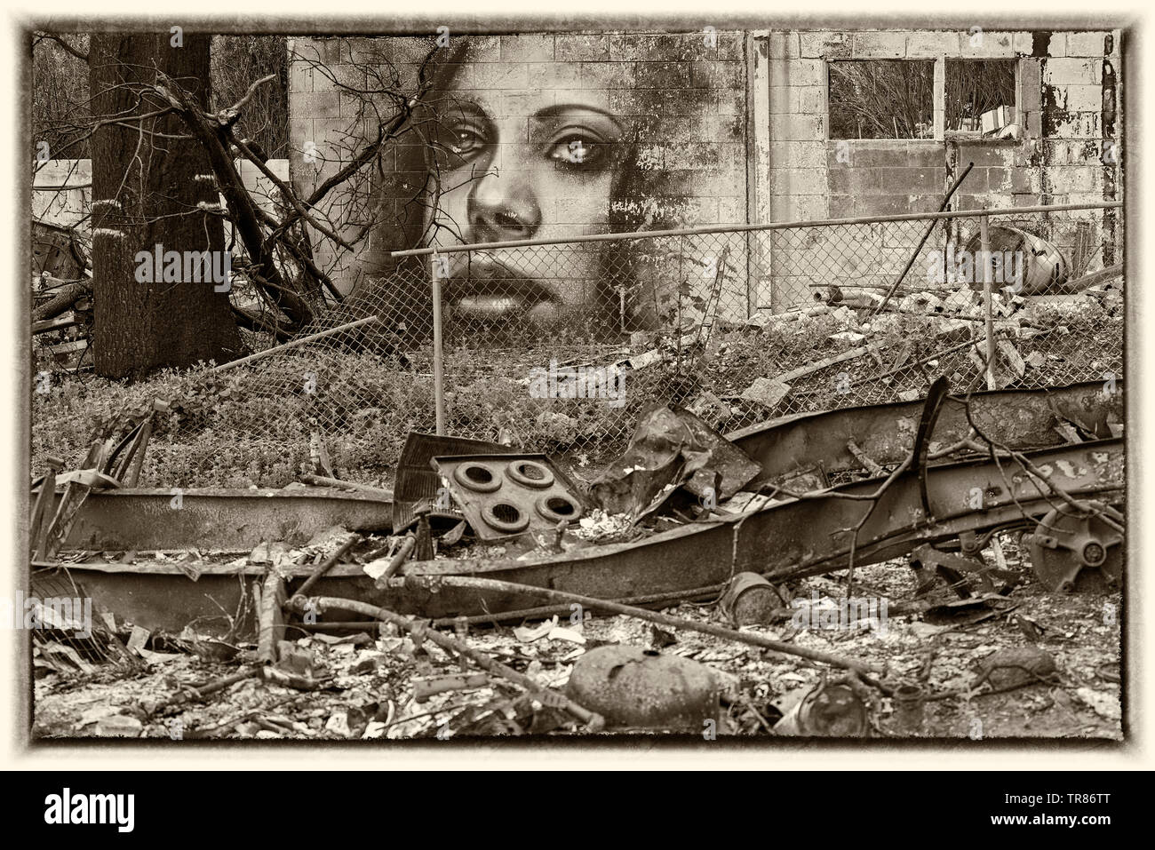 Graffiti artist Shane Grammer paints portraits among the ashes from ...