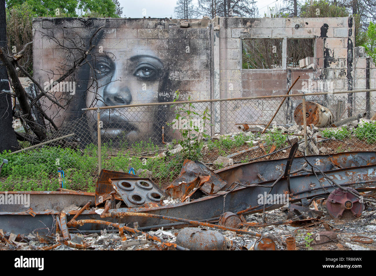 Graffiti artist Shane Grammer paints portraits among the ashes from ...