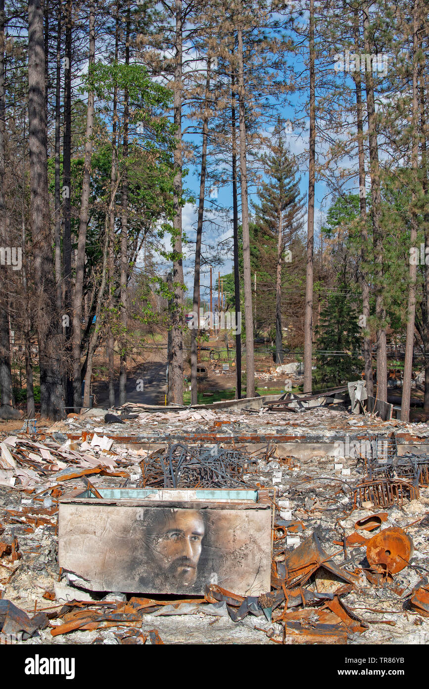 Graffiti artist Shane Grammer paints portraits among the ashes from ...