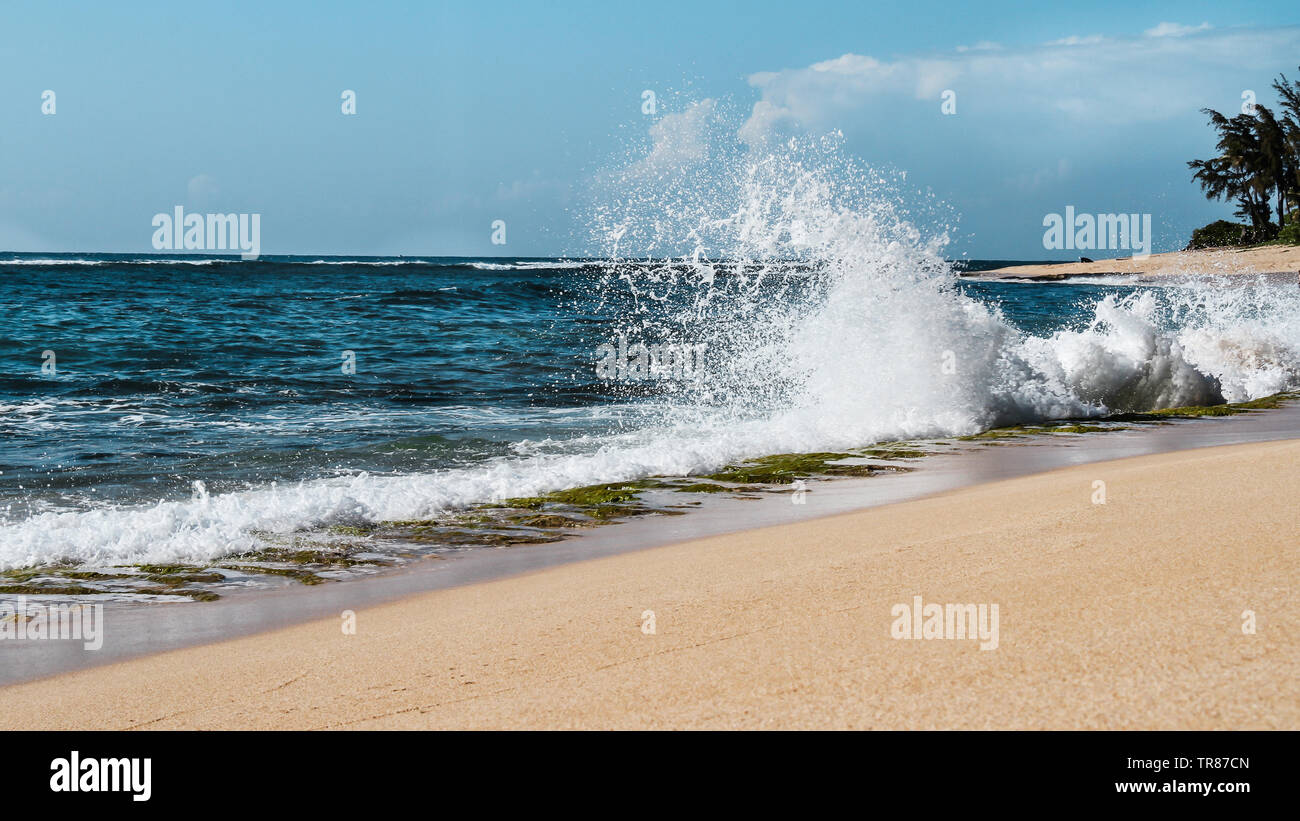 Tropical landscape at the beach in Hawaii, summer vacation concept ...