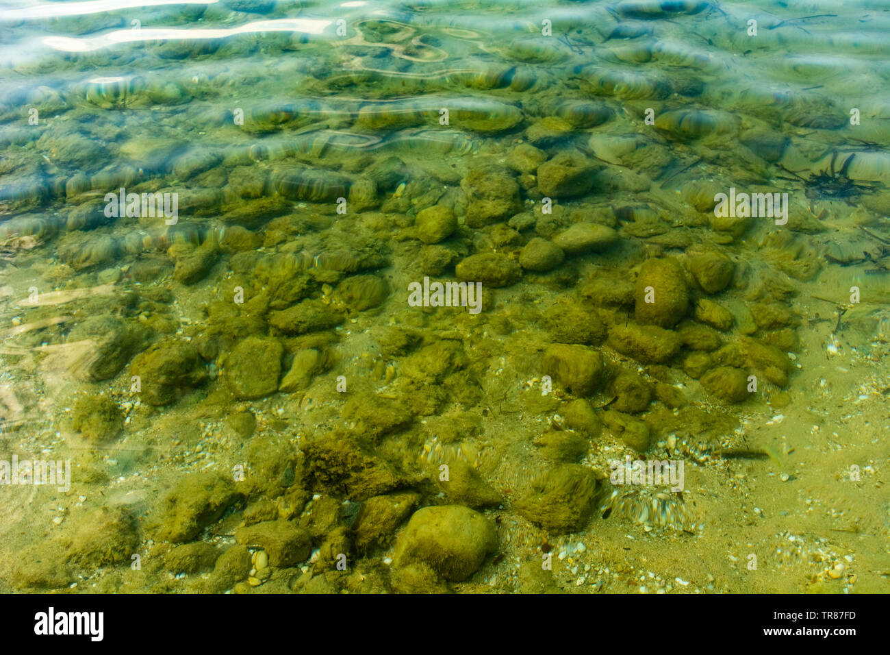 Ocean sea bottom floor rocky coast with clean see-through water Stock ...