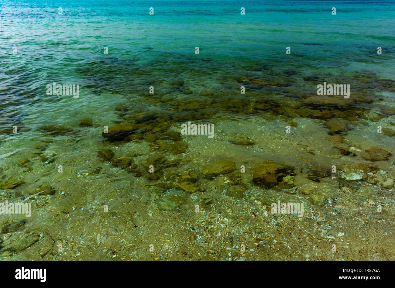 Ocean sea bottom floor rocky sandy coast with clean see-through water ...