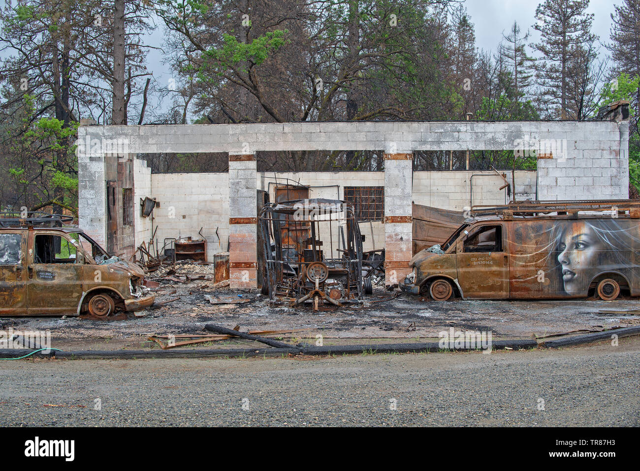 Graffiti artist Shane Grammer paints portraits among the ashes from ...