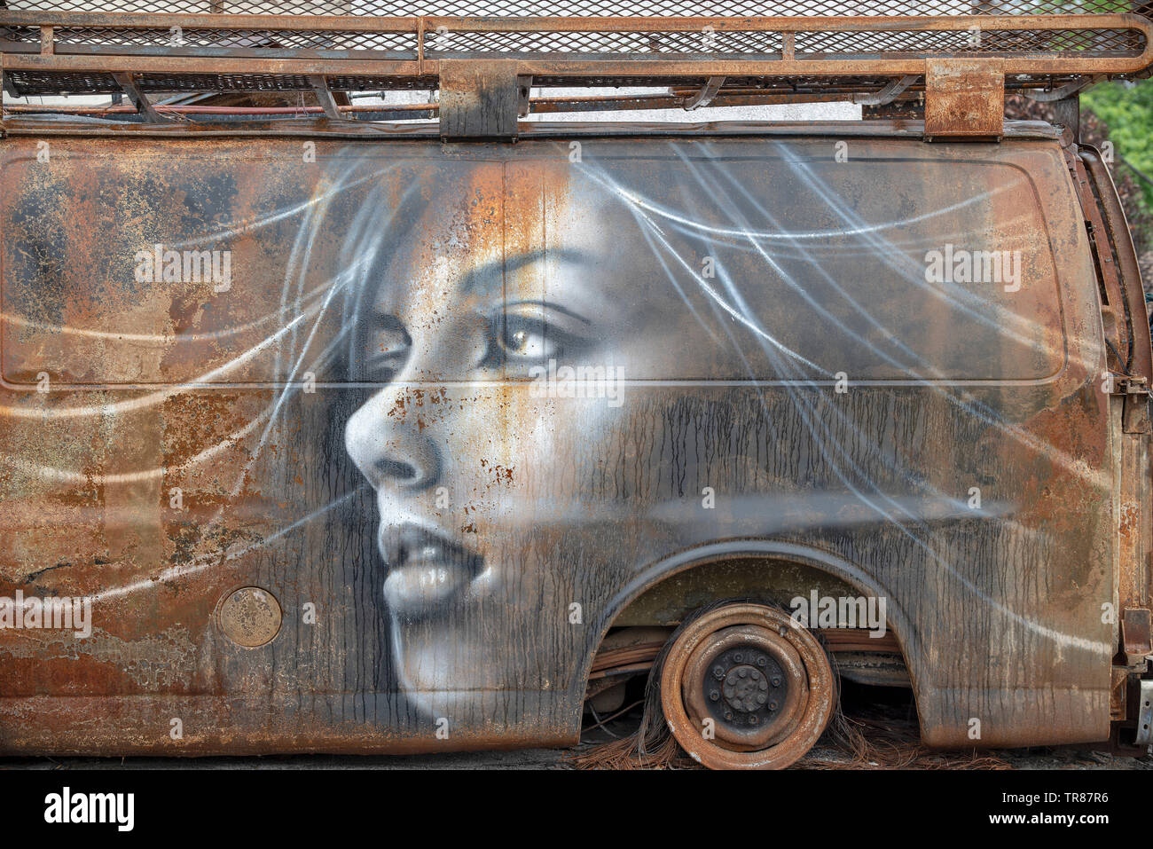 Graffiti artist Shane Grammer paints portraits among the ashes from ...