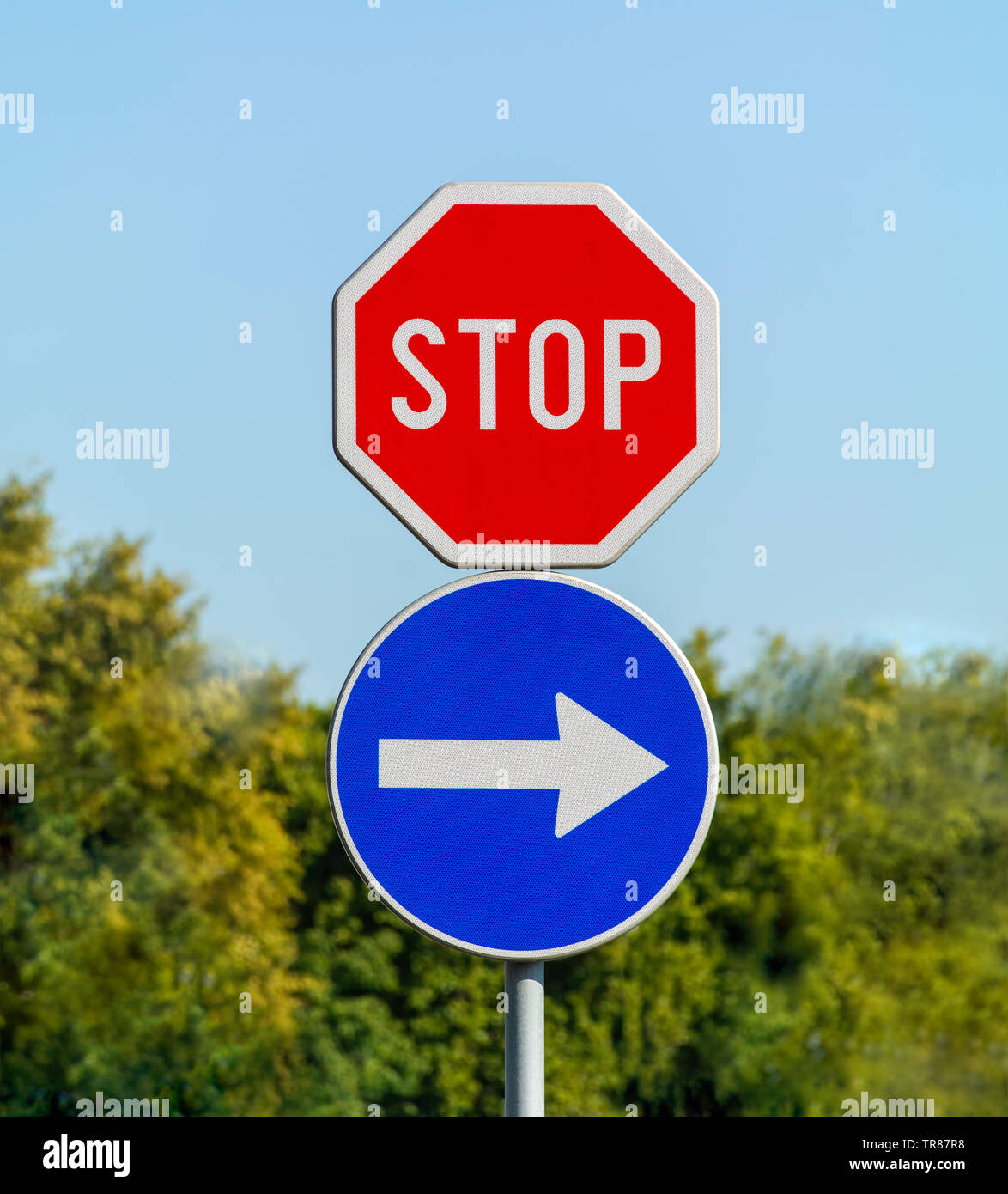 Stop and mandatory direction sign against blurred background - Road ...