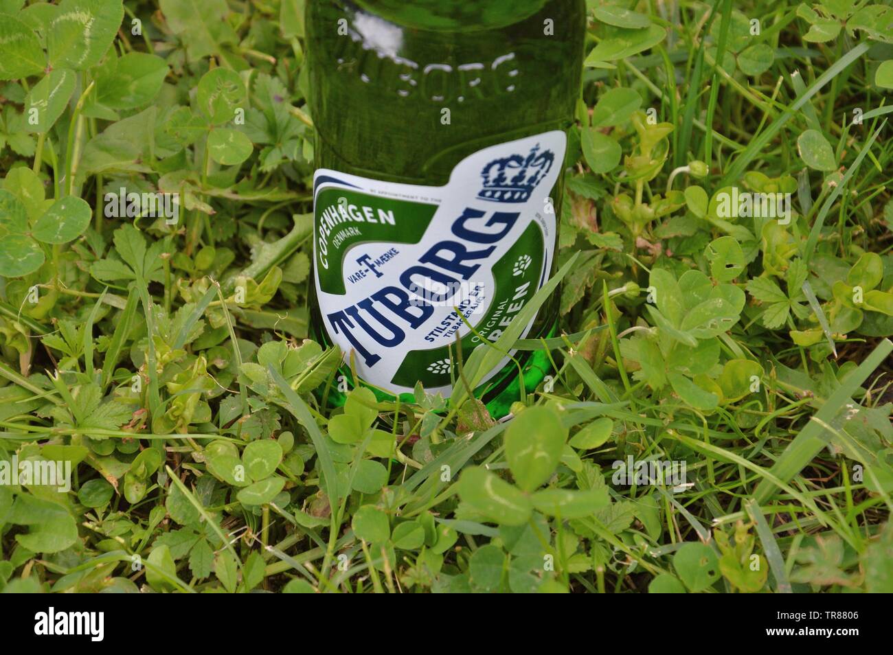 Beer tuborg hi-res stock photography and images - Alamy