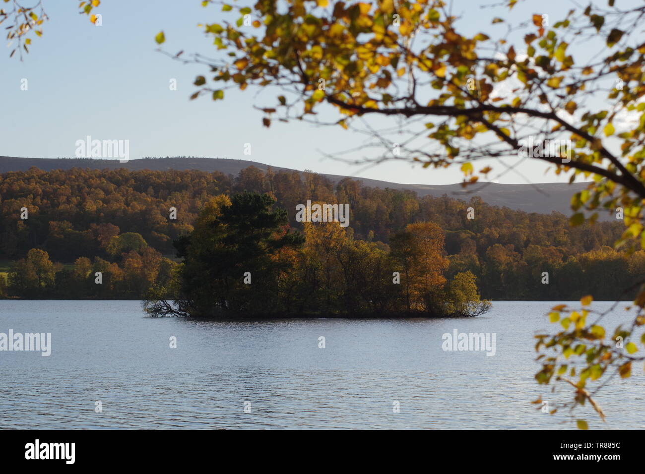 Castle Crannog on Loch Kinord Adorned with Autumn Silver Birch and ...