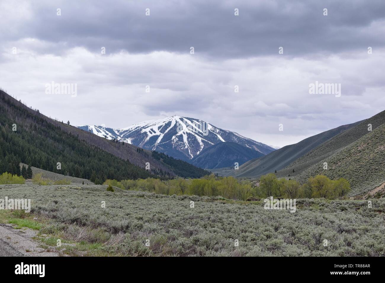 Sun Valley, Badger Canyon in Sawtooth Mountains National Forest ...