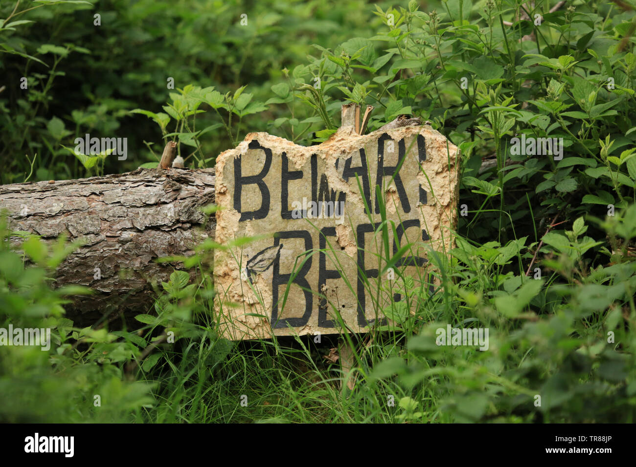 Sign warning of Bee hives in an English wood Stock Photo - Alamy