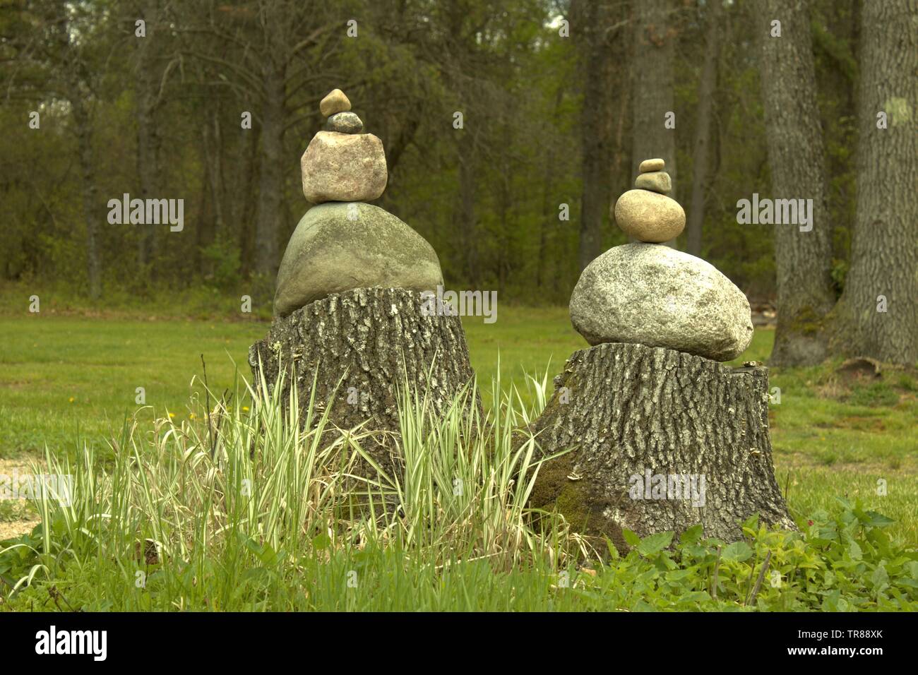 Balance stumps hi-res stock photography and images - Alamy
