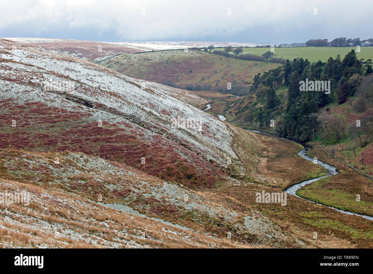 Late Spring snowfall on Exmoor, near Simonsbath, Devon, England, UK ...