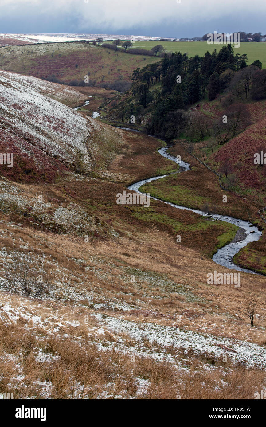 Late Spring snowfall on Exmoor, near Simonsbath, Devon, England, UK ...