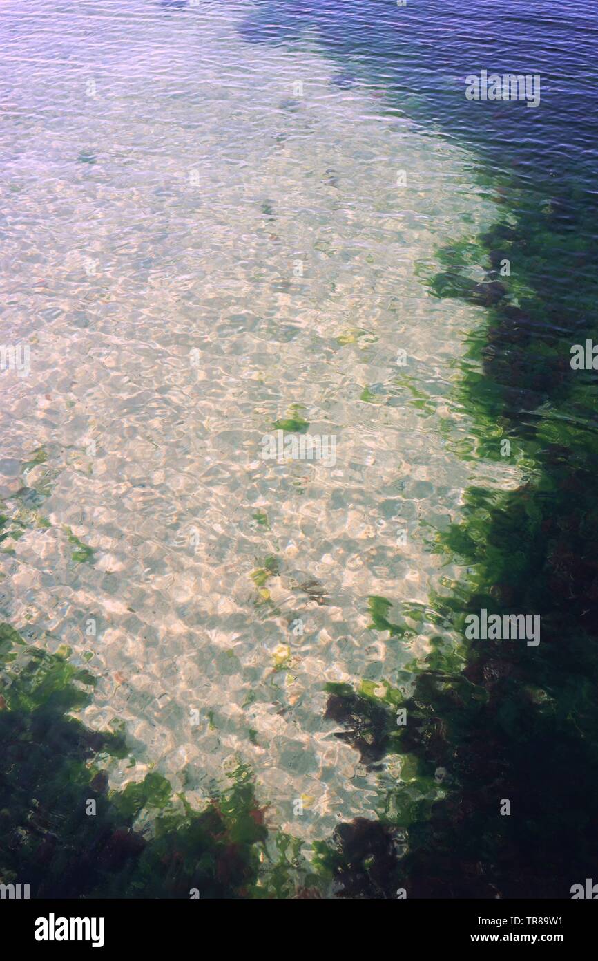 Moss underwater hi-res stock photography and images - Alamy