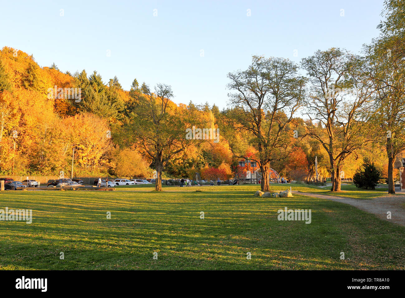 relaxing afternoon with full of fall colors at Golden gardens park ...
