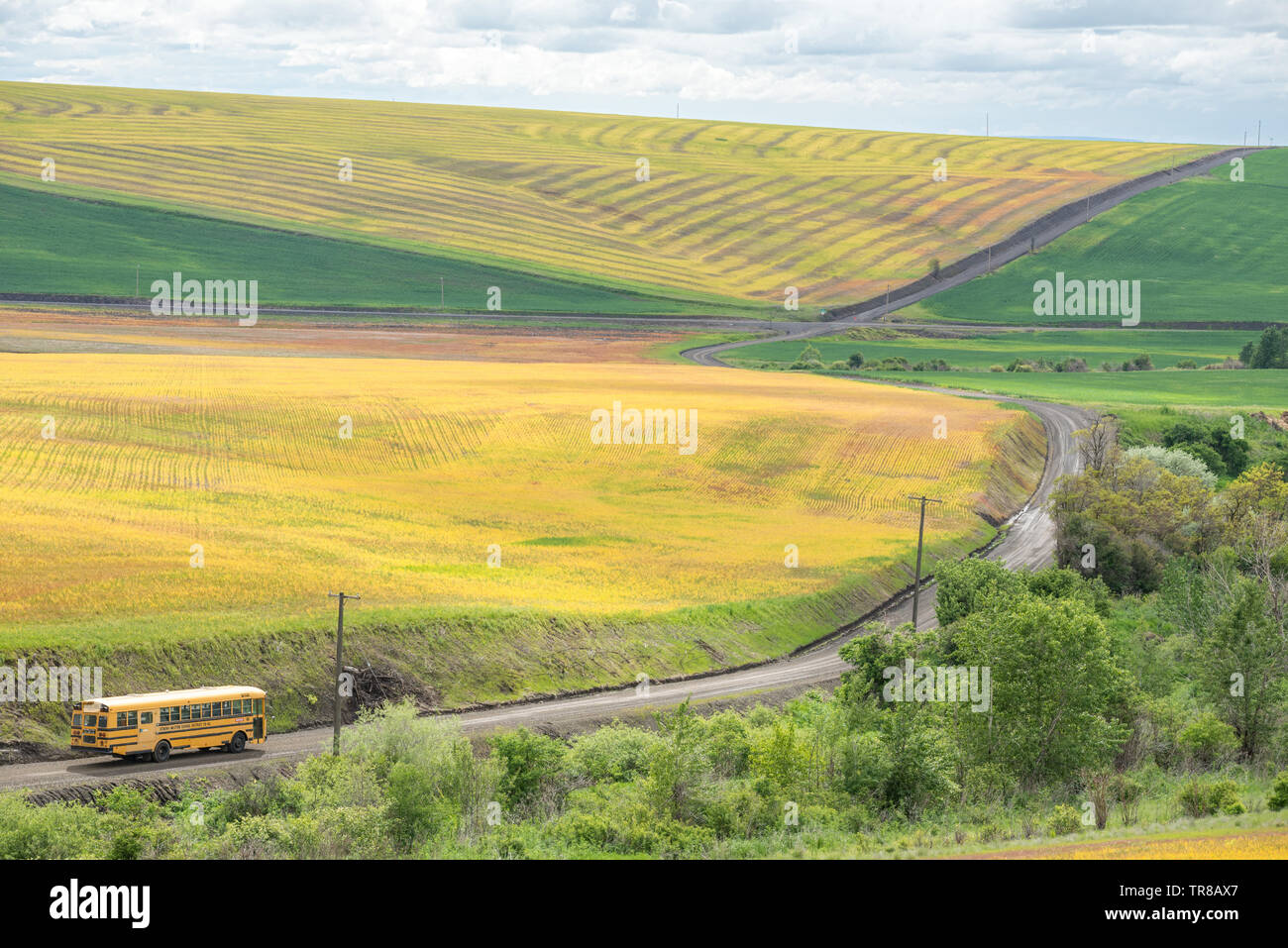 Landscape with school bus hi-res stock photography and images - Alamy