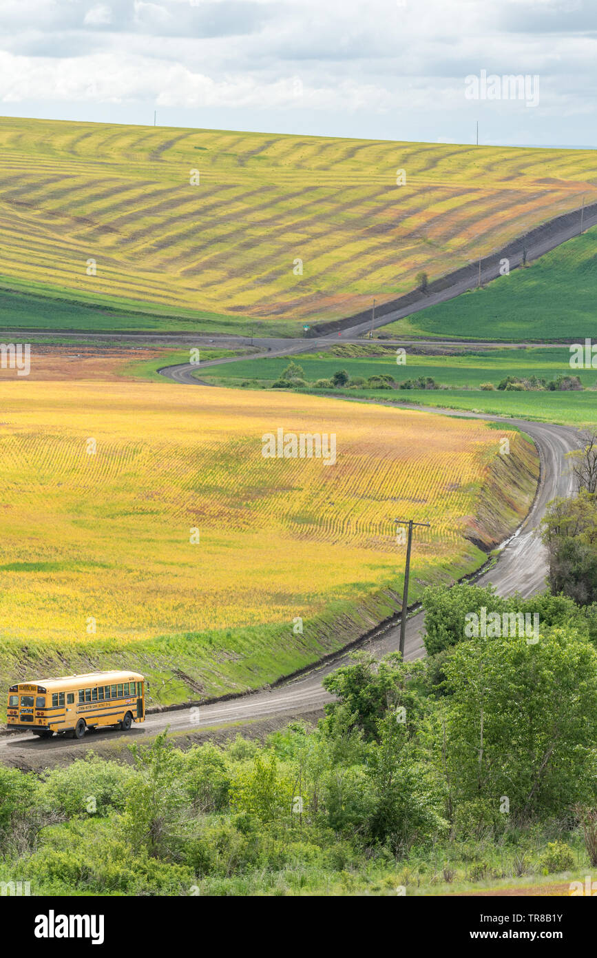 Road school bus hi-res stock photography and images - Alamy