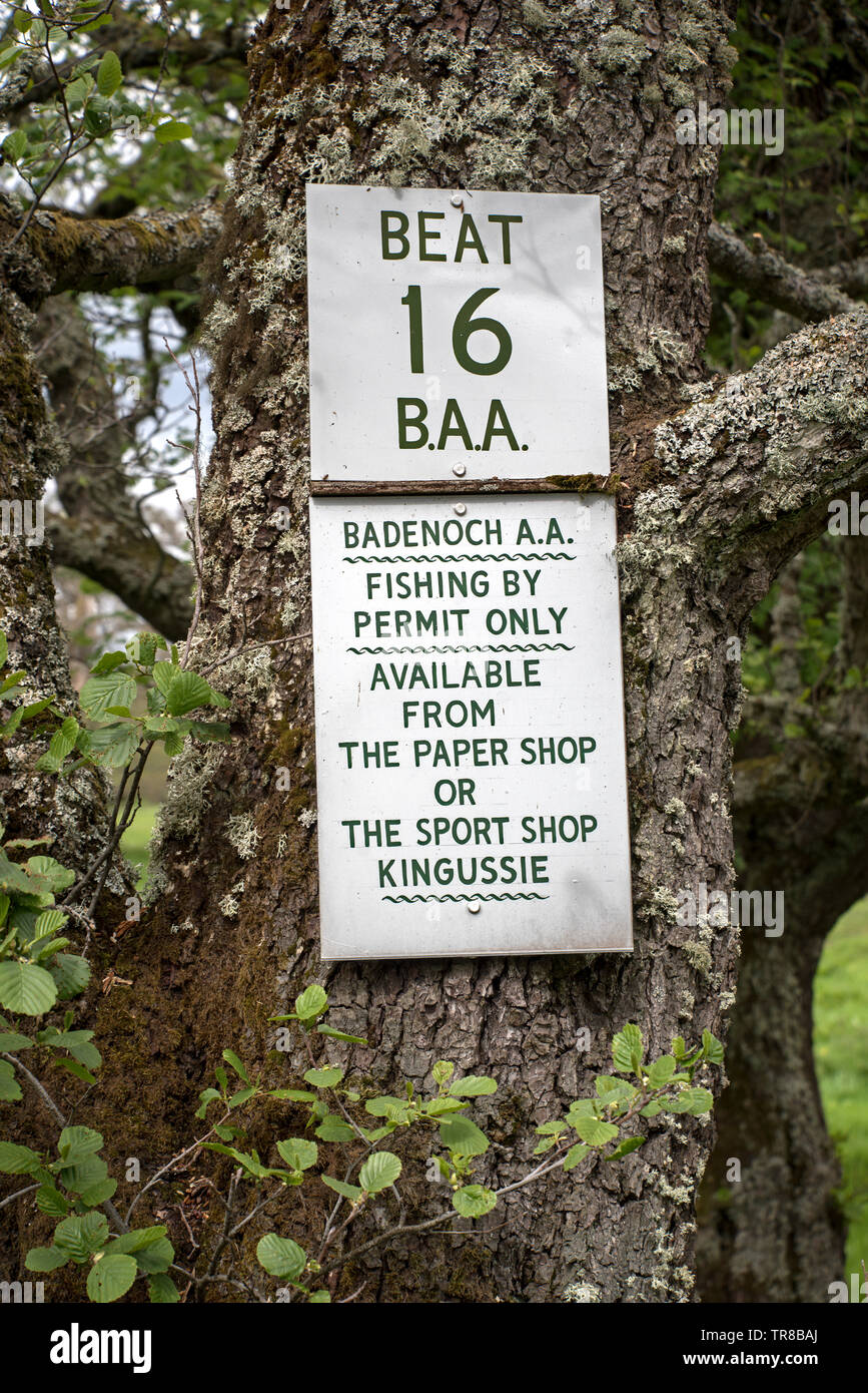 Beat tree hi-res stock photography and images - Alamy