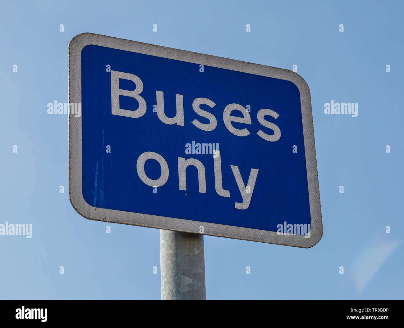 Buses only sign hi-res stock photography and images - Alamy