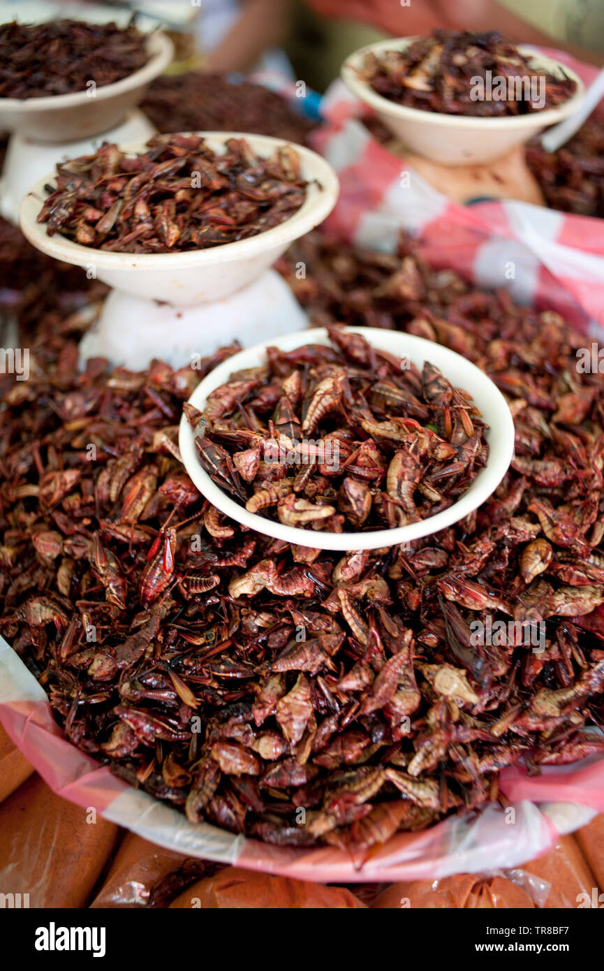 Chapulines