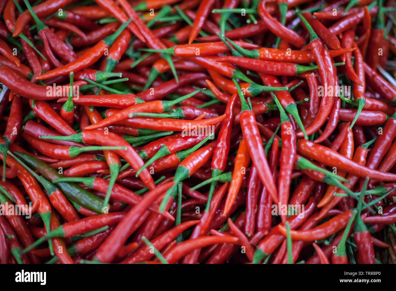 Red Hot Pepper,Mexican hot chilli peppers colourful Stock Photo - Alamy
